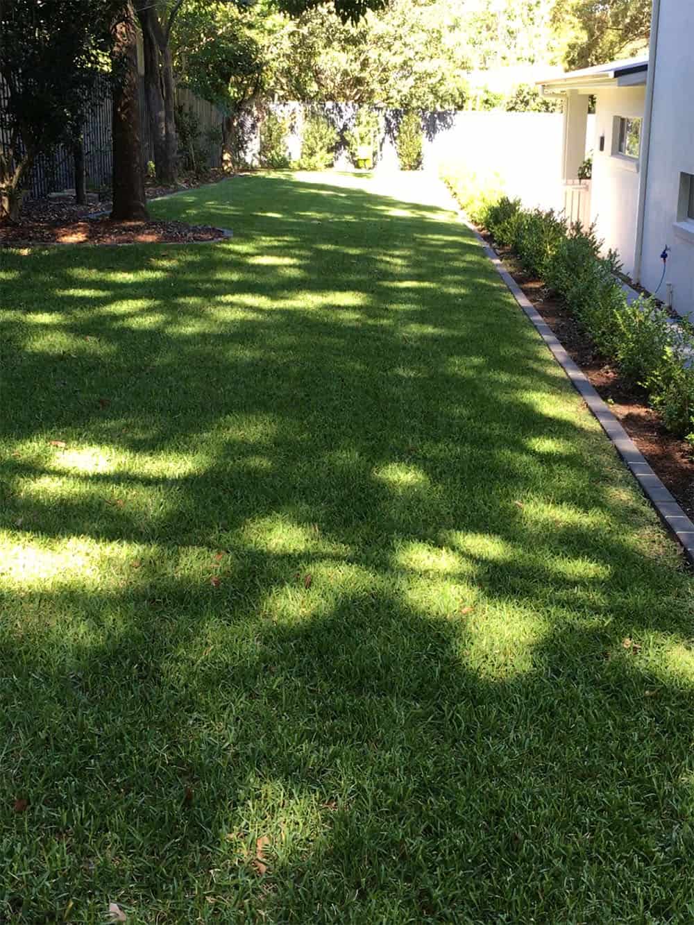 Professional Lawn Mowing, Hedging And Garden Maintenance In Sydney